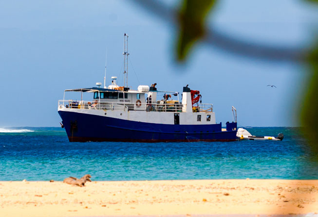 MV Windward | Indies Trader